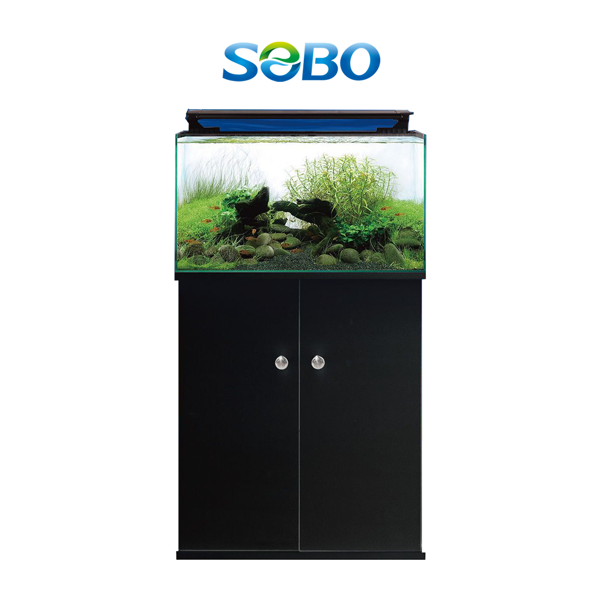 Sobo Aquarium- Chow Yang Aquarium