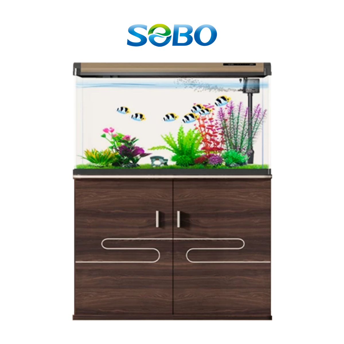 Sobo Aquarium- Chow Yang Aquarium