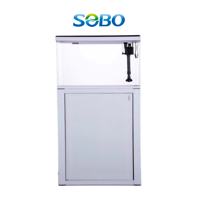 Sobo Aquarium- Chow Yang Aquarium