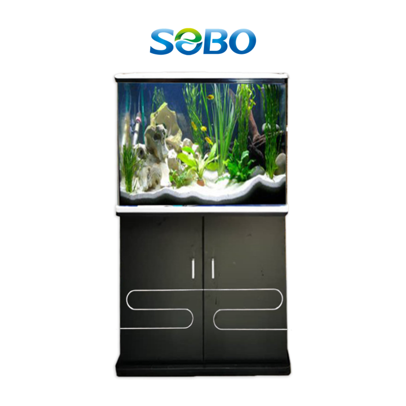 Sobo Aquarium- Chow Yang Aquarium