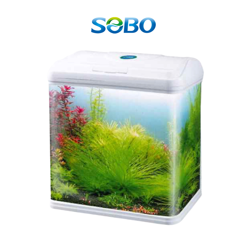 Sobo Aquarium- Chow Yang Aquarium