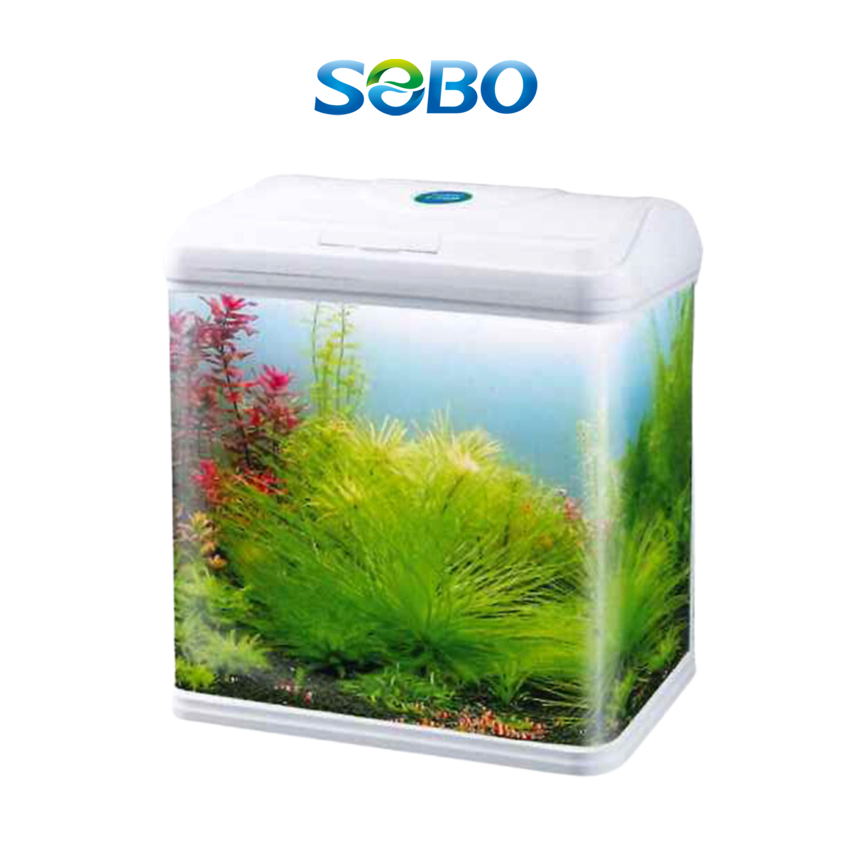 Sobo Aquarium- Chow Yang Aquarium