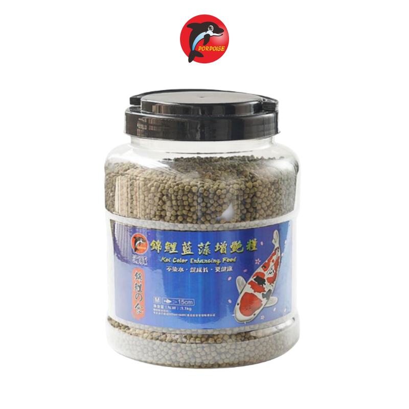 Porpoise Fish Food- Chow Yang Aquarium
